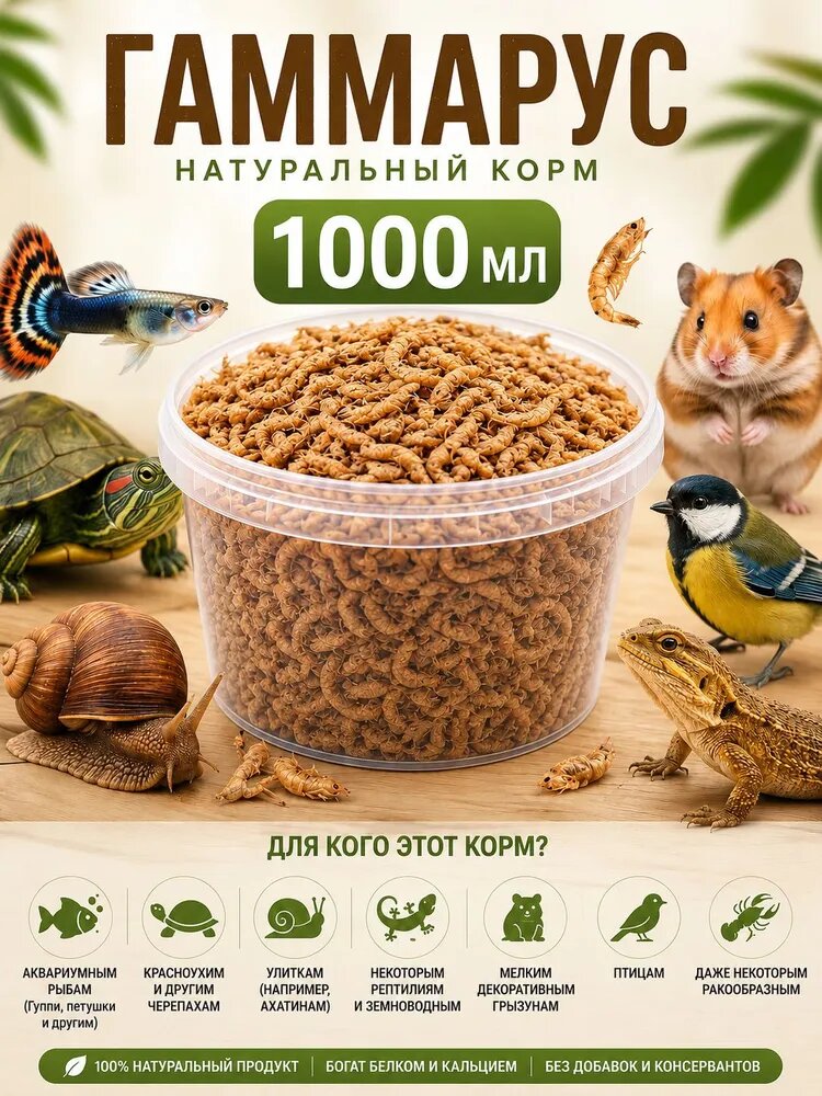 Корм гаммарус для рыб в удобном пластиковом ведре объемом 1000 мл