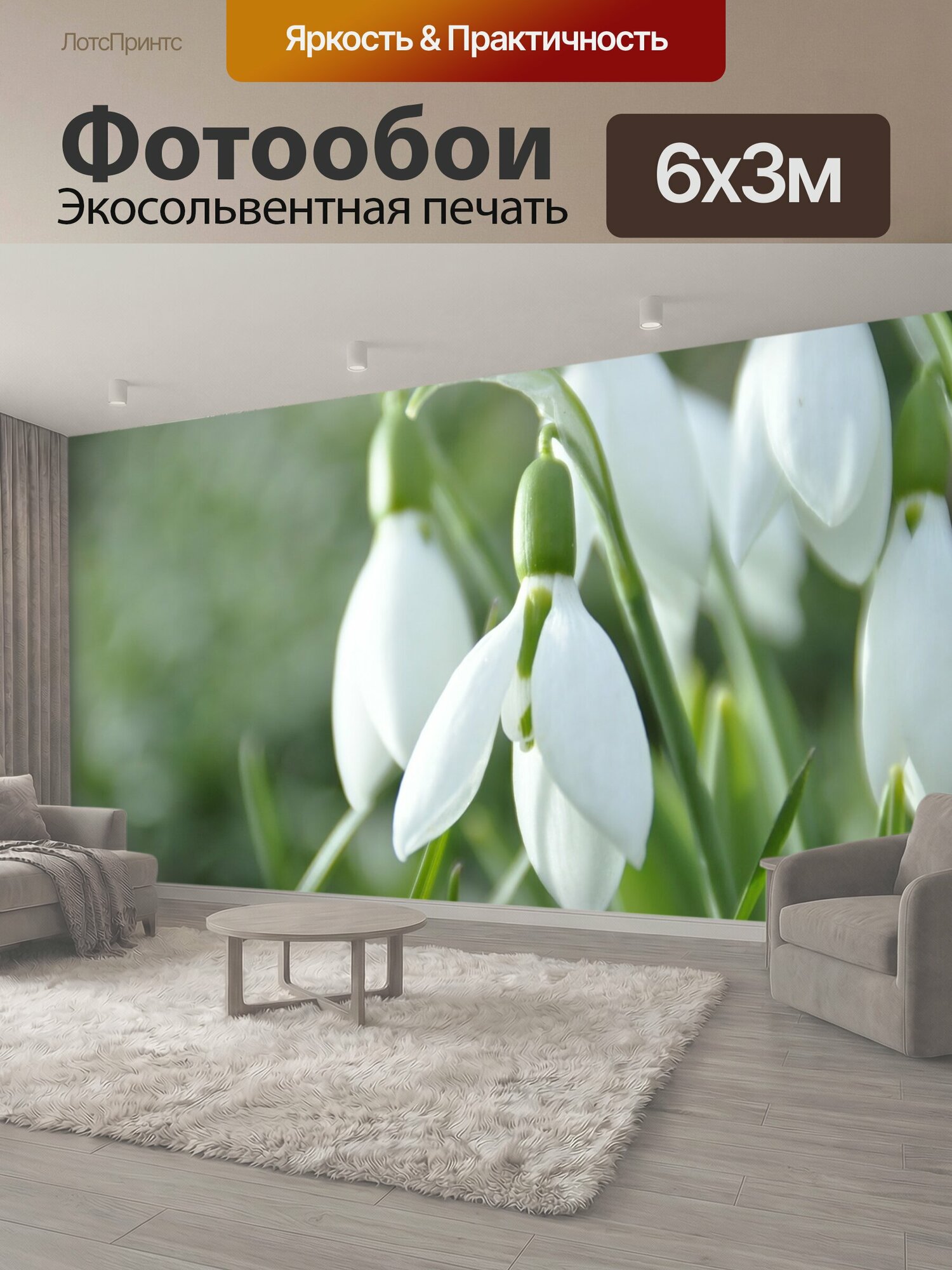 Фотообои "Подснежник, цветок, белый" 600x300 см. экосольвентная печать