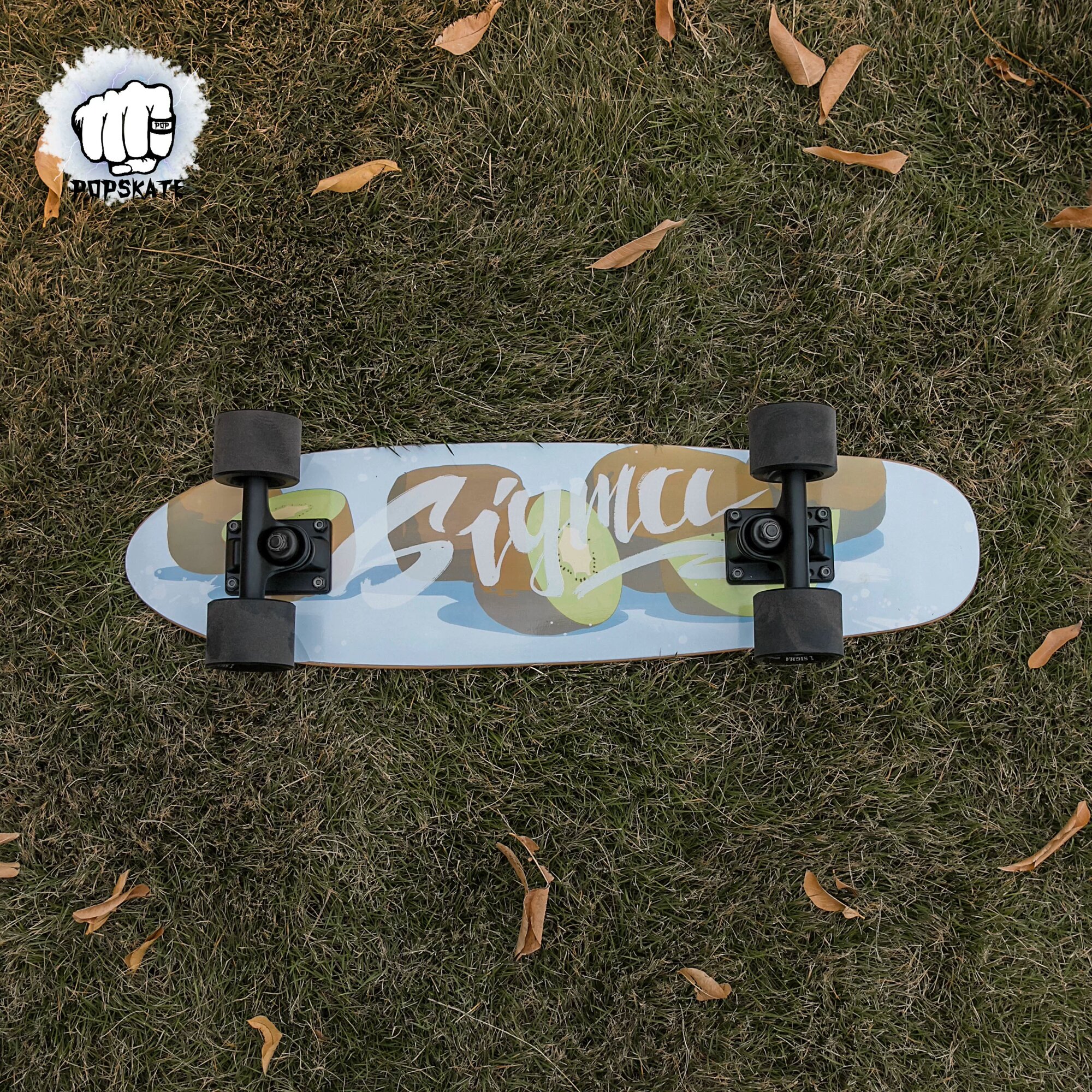 Sigma Fishboard Skateboard для начинающих, профессиональная амортизация, тема киви уличное катание