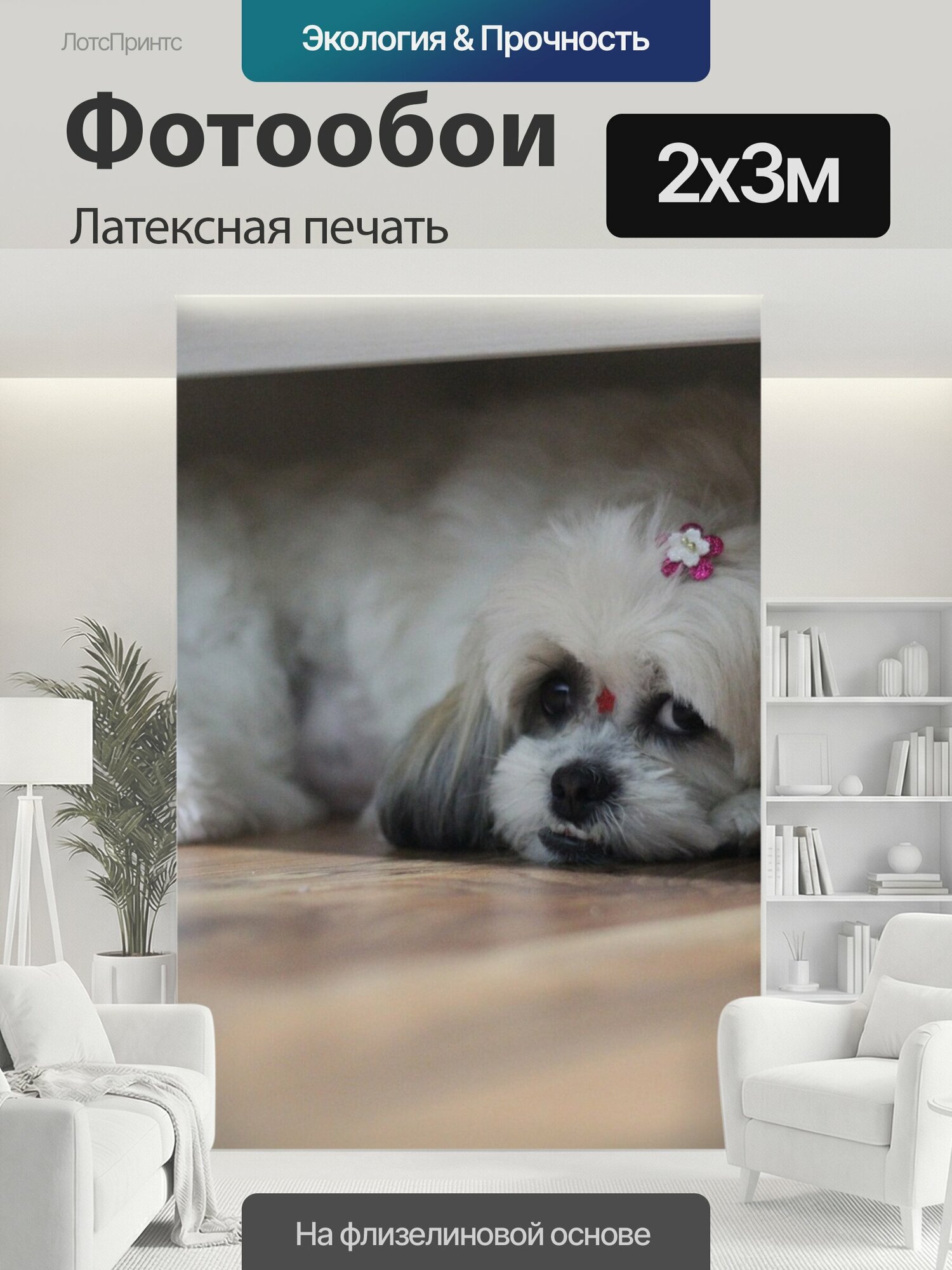 Фотообои моющиеся ударопрочные "Pet, ши-тцу, собака" 200x300 см. латексная печать