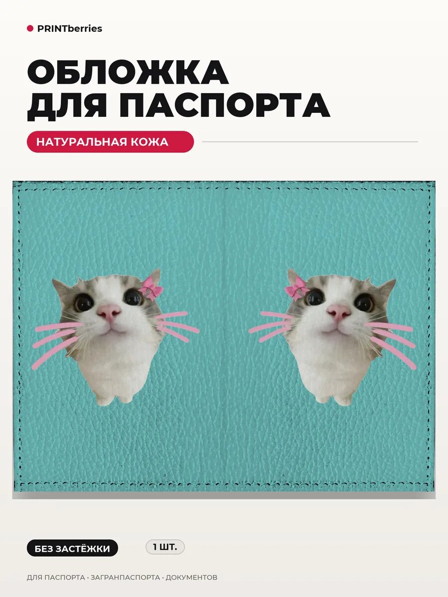 Обложка для паспорта PRINTBERRIES