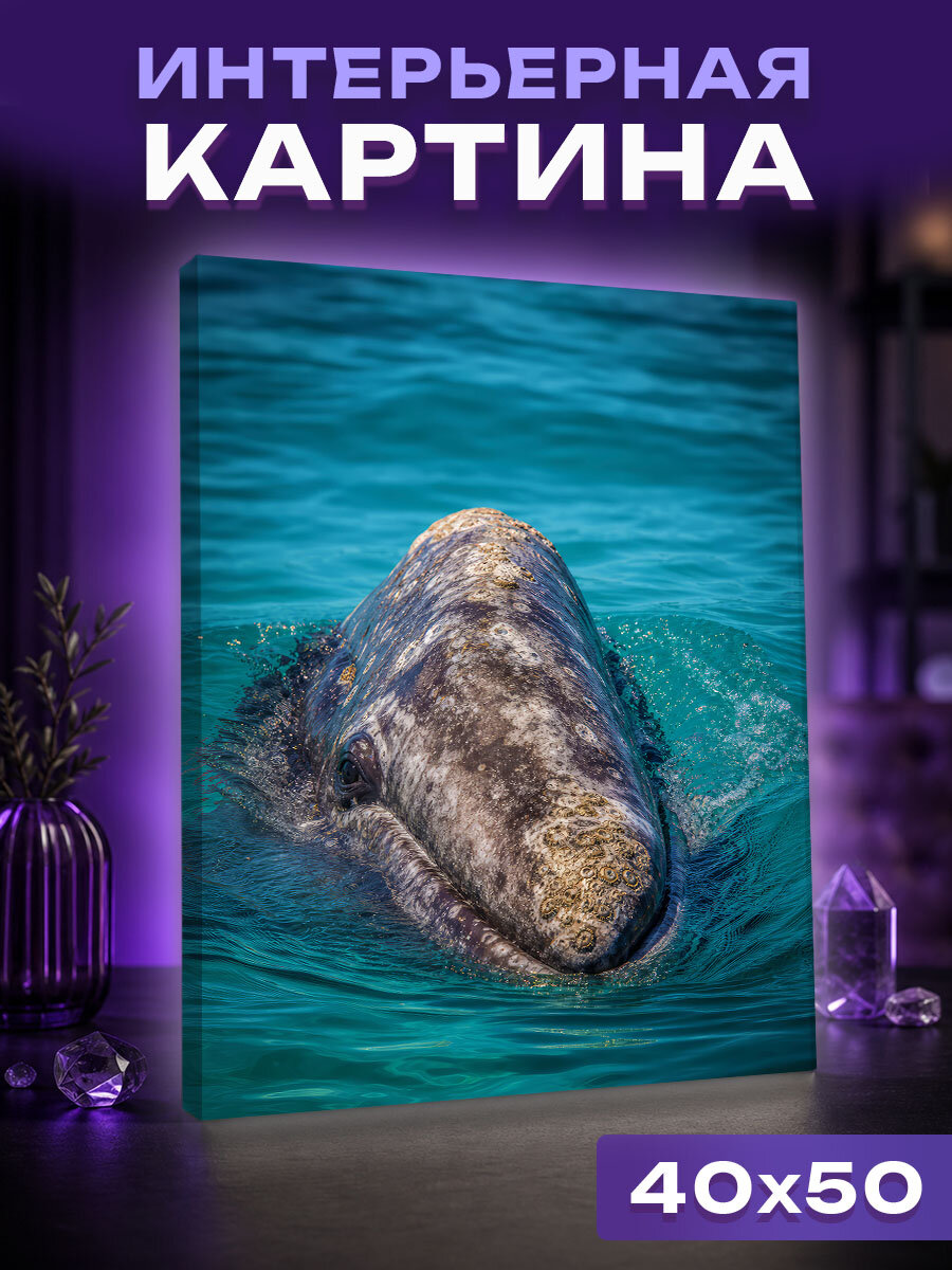 Интерьерная картина Взгляд серого кита