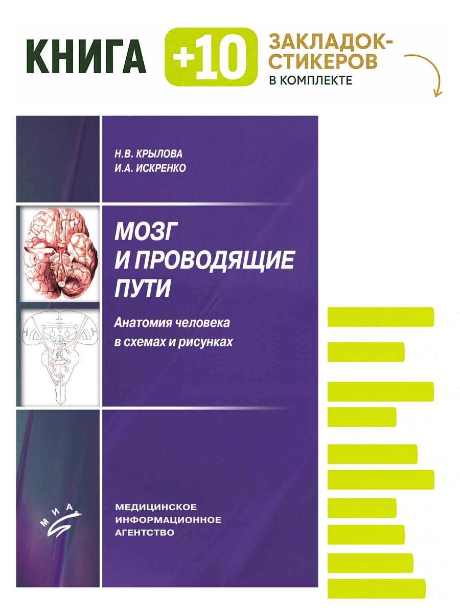 Мозг и проводящие пути. Анатомия человека в схемах и рисунках. Комплект: книга + 10 закладок-стикеров