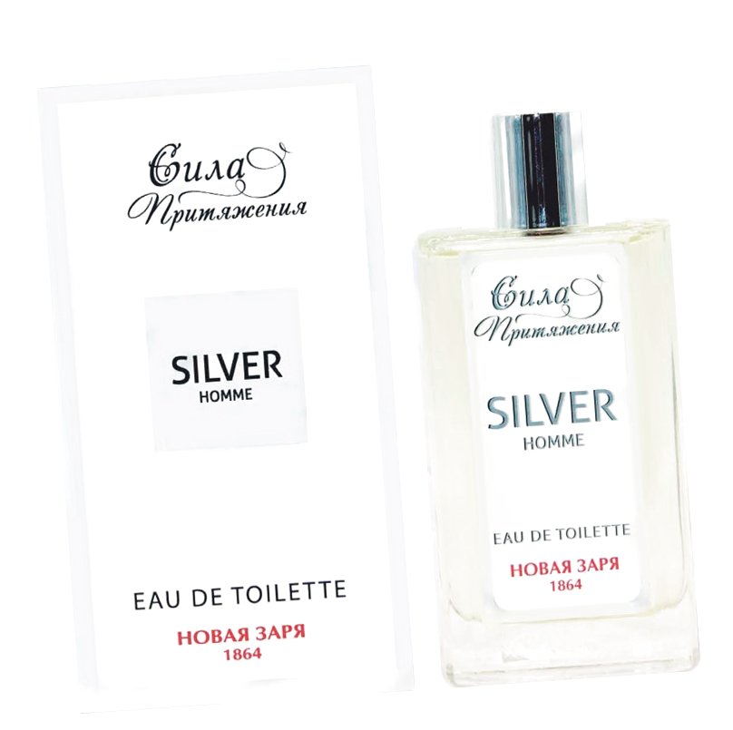 Новая Заря Серебро туалетная вода мужская 100 мл - Nouvelle Etoile Silver аромат
