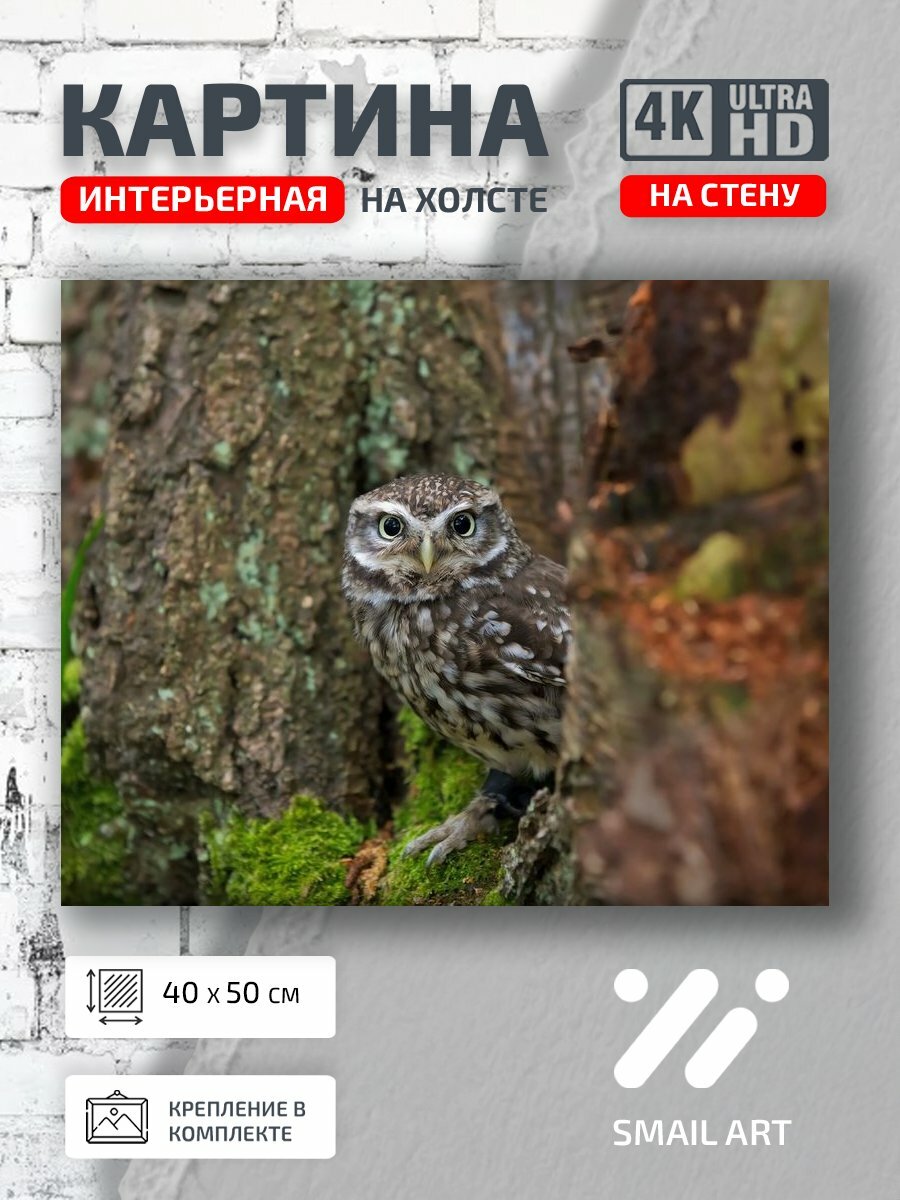 Картина на холсте интерьерная 40 на 50 на стену Птица Landscape для спальни пейзаж интерьер
