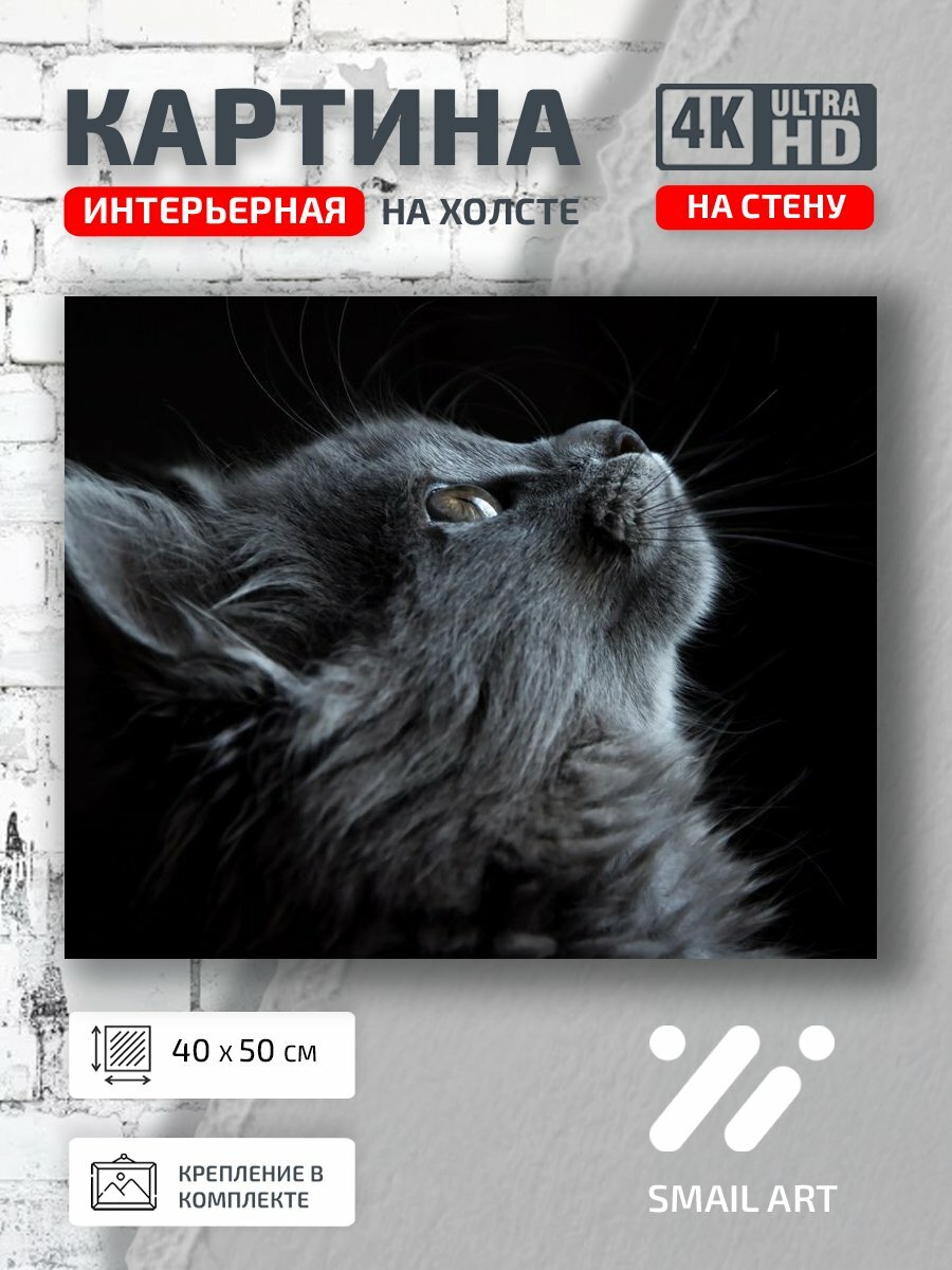 Картина на холсте интерьерная 40 на 50 на стену Шерсть Animal для кабинета animal style