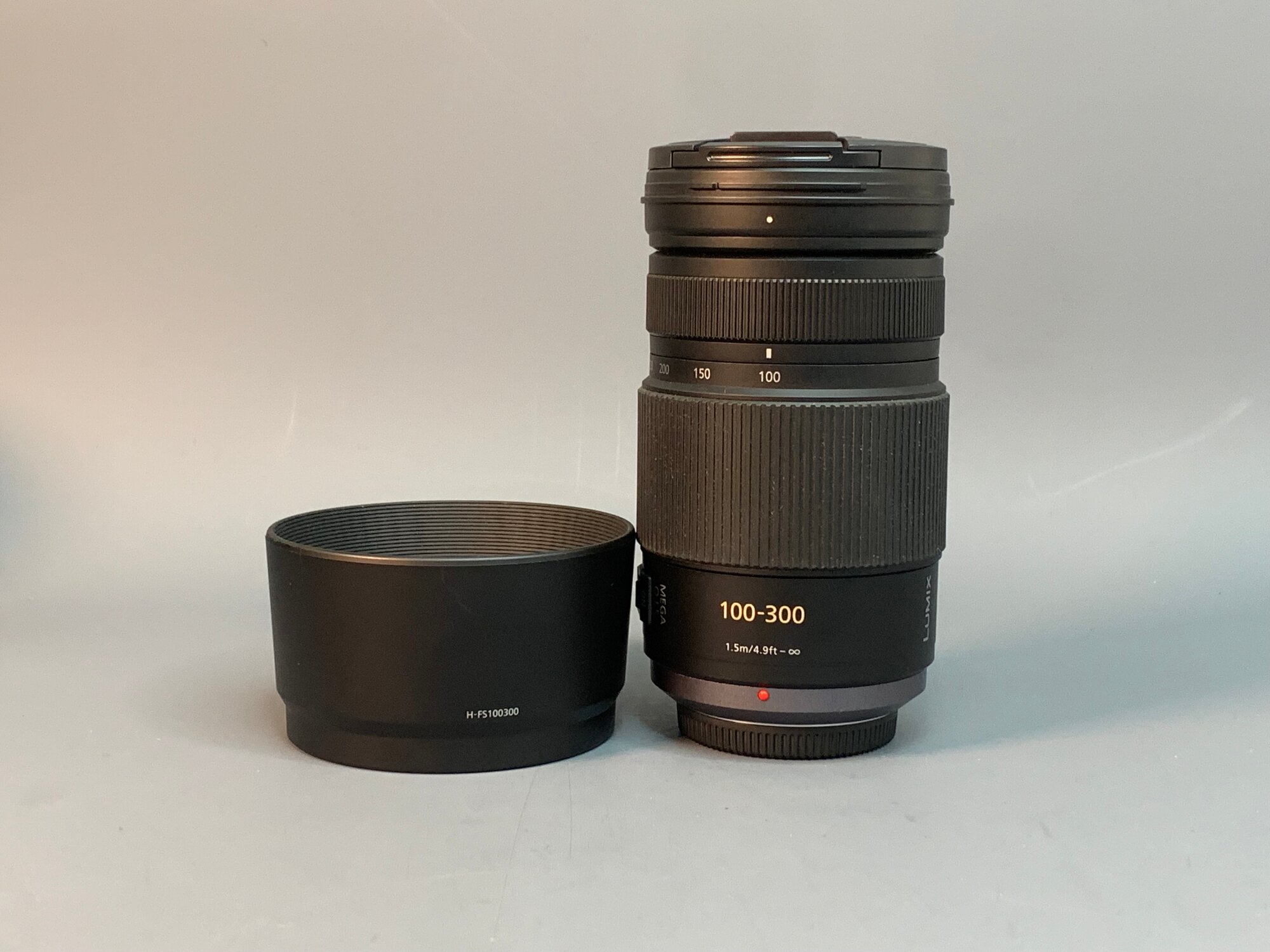 Panasonic Lumix G Vario 100-300 4.0-5.6 Mega O.I.S