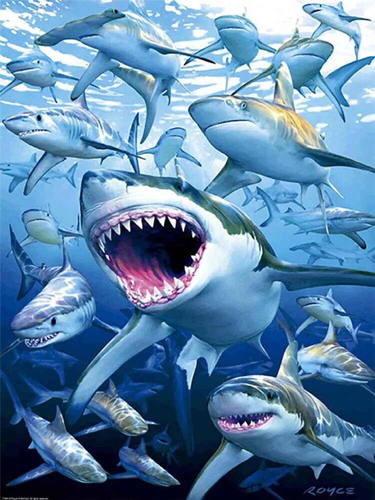 Алмазная картина «Акула» Голубой, Round 30x40cm, 107NCQJ