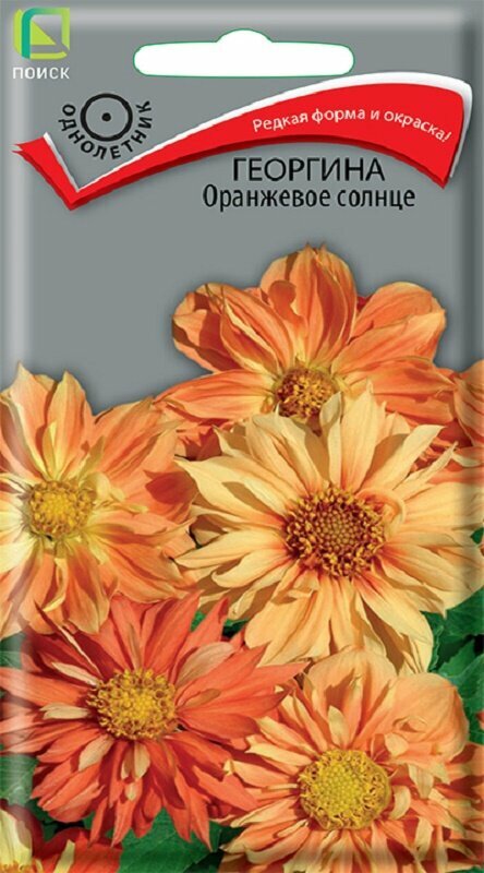 Семена цветов георгина Оранжевое солнце 10 шт, для дачи, сада, огорода и на рассаду