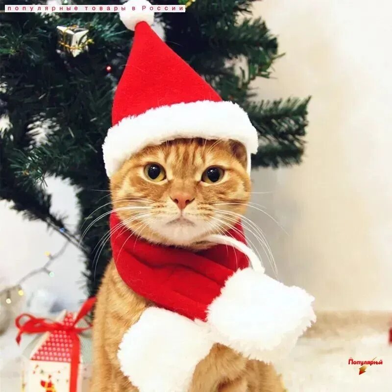 Новогодний рождественский набор-подарок из шапки-колпака и шарфа для кошек, собак и других животных , размер L