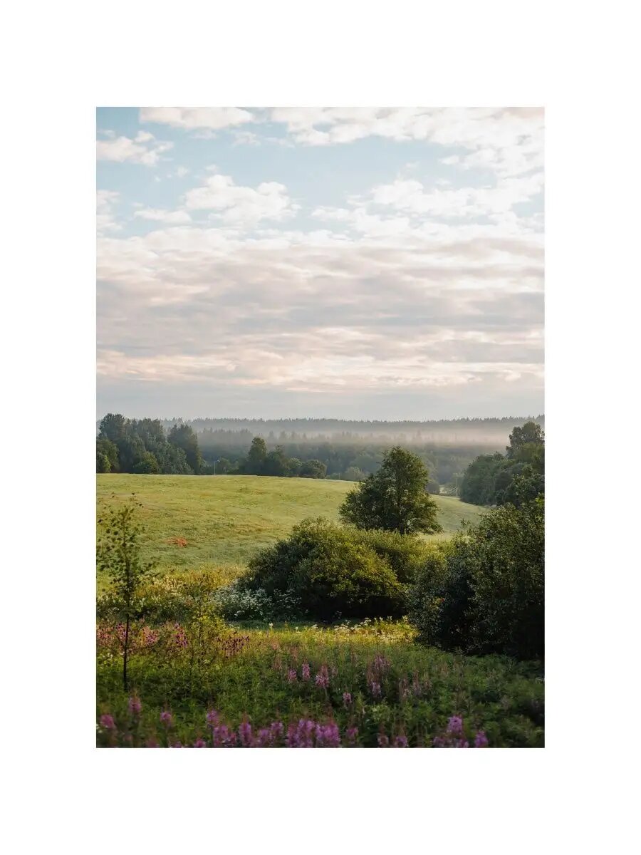 Постер Луг поле для кухни, 40 x 50 см (с полями), материал бумага, без рамы — фото 1