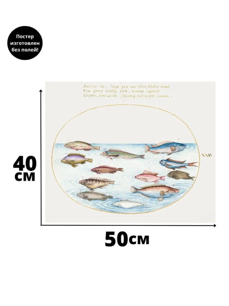 Постер в морском стиле ретро рисунок, 50 x 40 см, бумага, без рамы