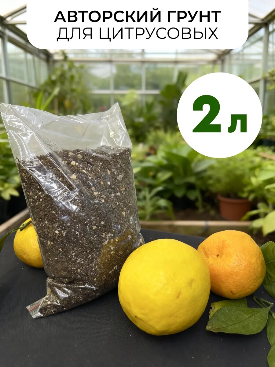 Авторский профессиональный грунт для цитрусовых 2 литра от Sinitsa_Leaf