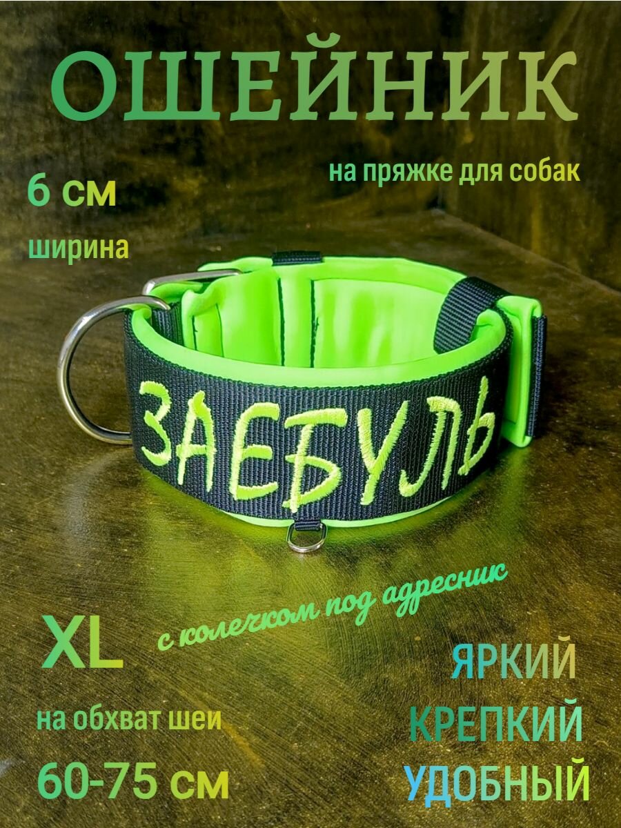 Ошейник для собак на пряжке, с вышивкой заебуль, ширина 6 см, с мягким подкладом для средних и крупных пород, размер XL