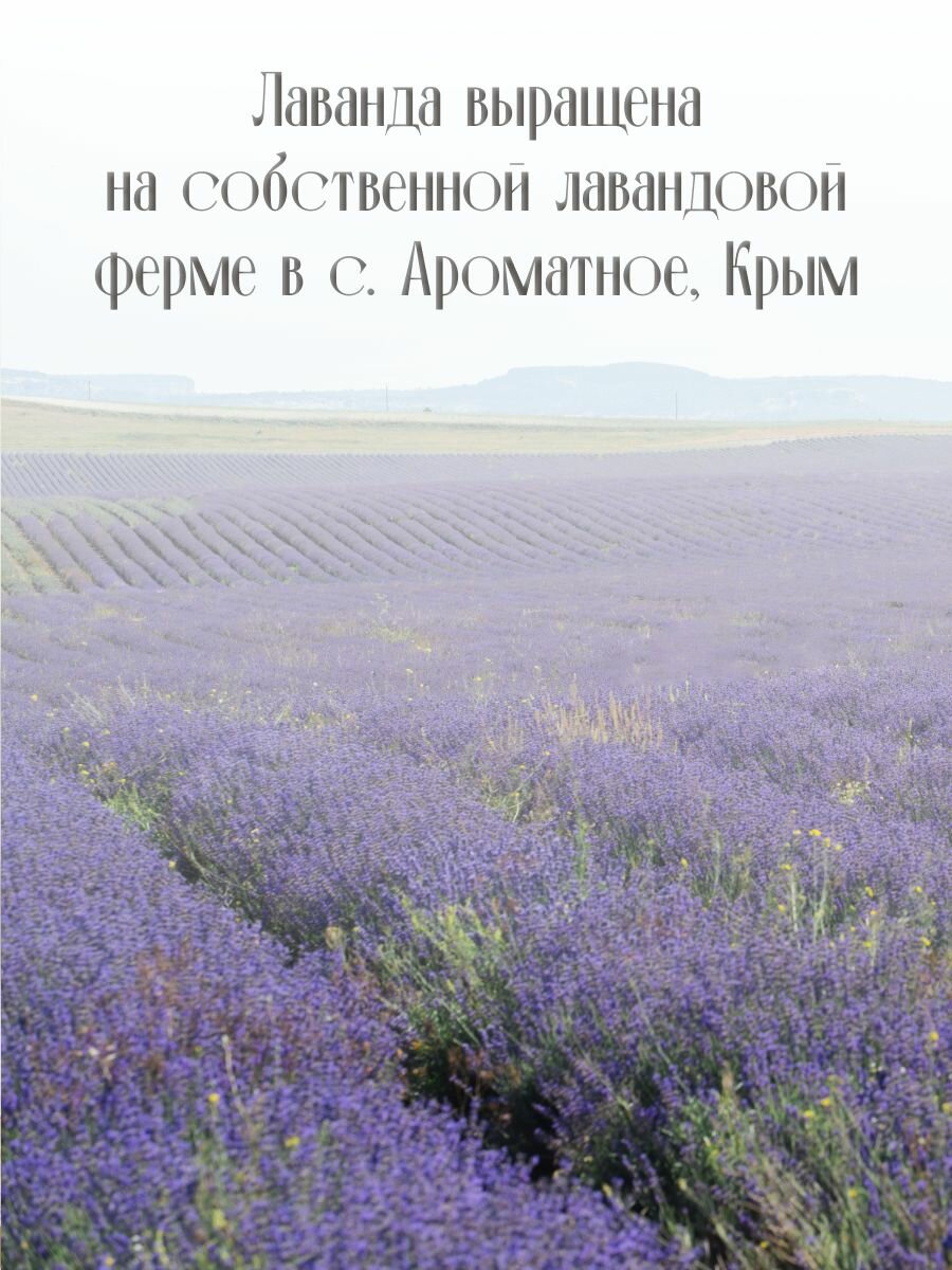 Эфирное масло лаванда — фото 1