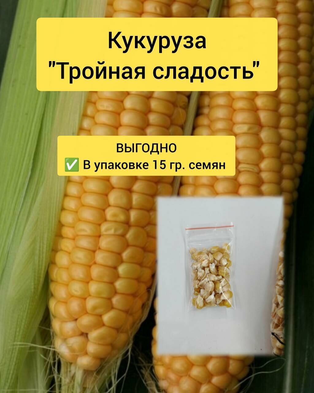 Семена сладкой кукурузы "Тройная сладость", 15 гр. семян в упаковке