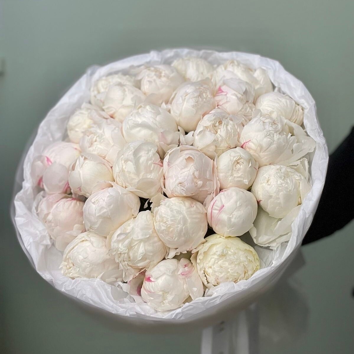 Букет из белых пионов 29 шт, красивый букет цветов, шикарный, премиум цветы, премиум букет