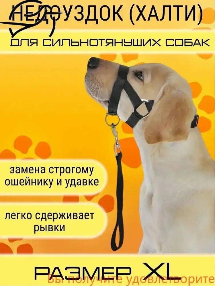 Недоуздок для собак крупных, средних, мелких пород / Намордник халти
