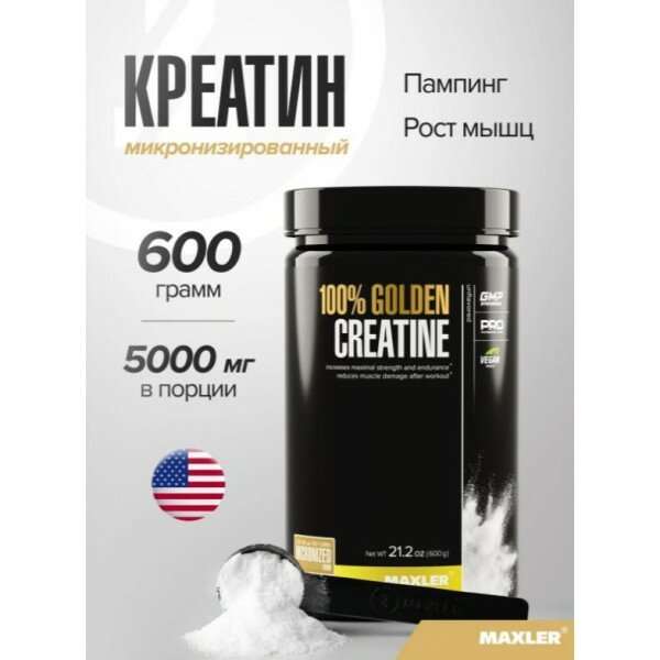 Creatine 100 Golden 600 gr Mxl