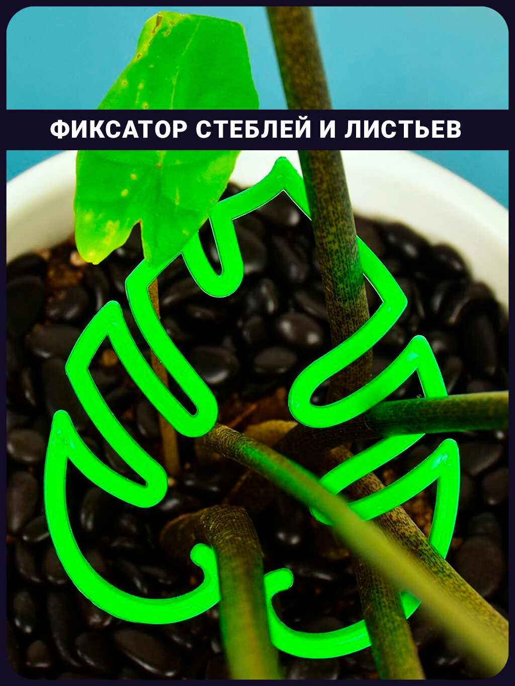 Фиксатор стеблей и листьев растений; опора для монстеры опора для растений фиксатор для монстеры