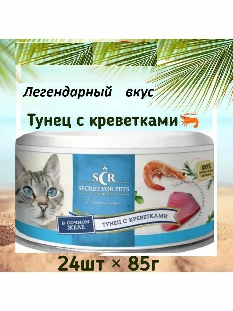 Консервы для кошек Secret Premium тунец с креветками в желе, влажный корм, 24шт х 85г