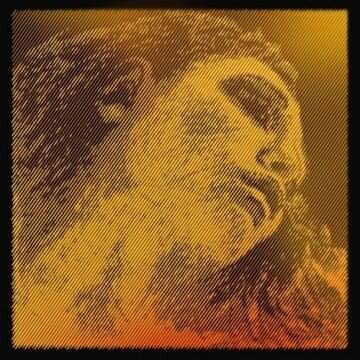 Pirastro 415321 EVAH PIRAZZI GOLD струна для скрипки D(Ре), синтетическая, оплетка серебро, среднее