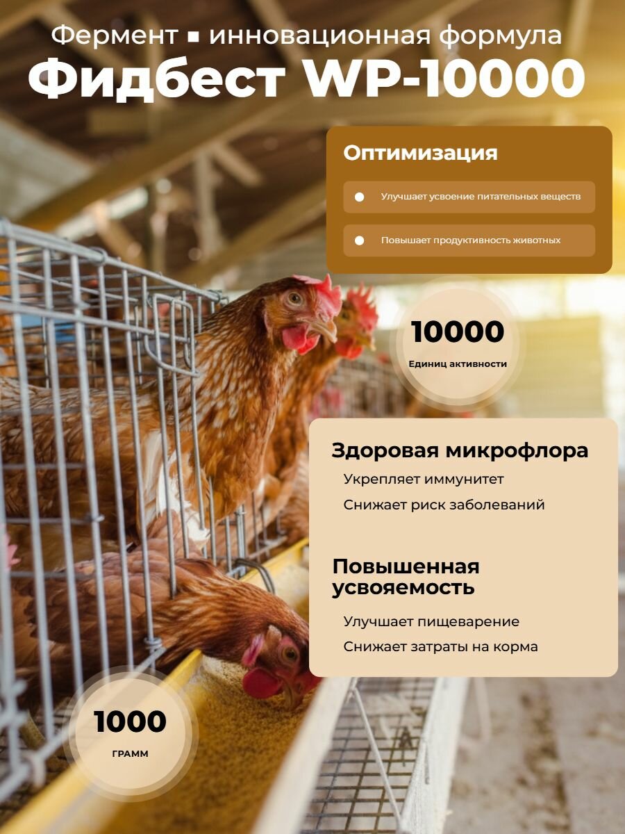 Кормовая добавка фермент Фидбест WР-10000 1000 г для сельскохозяйственной птицы