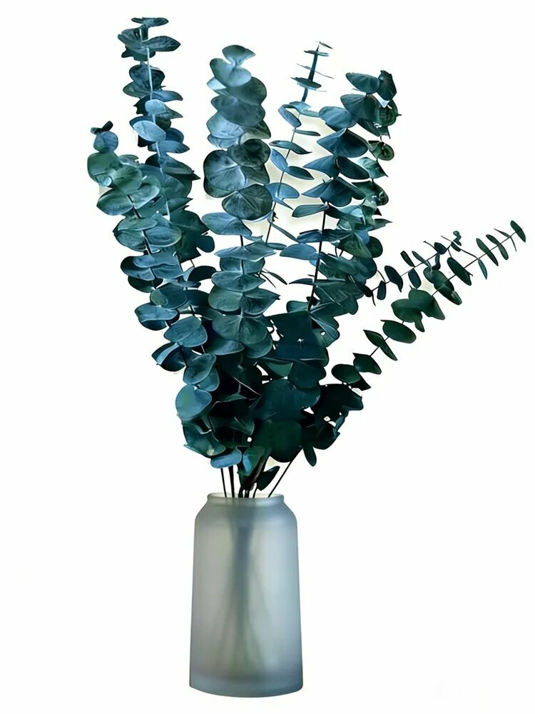 Сухоцветы Эвкалипт 50 см, набор 10 шт, натуральный декор для интерьера и букетов