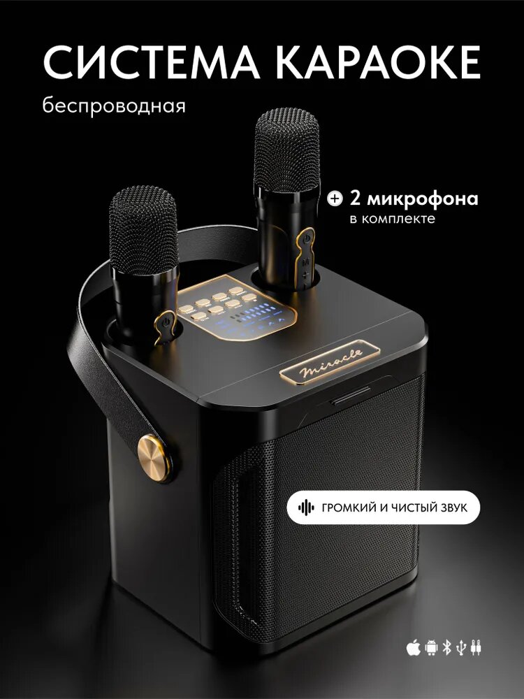 Караоке система, Микрофон караоке с портативной колонкой