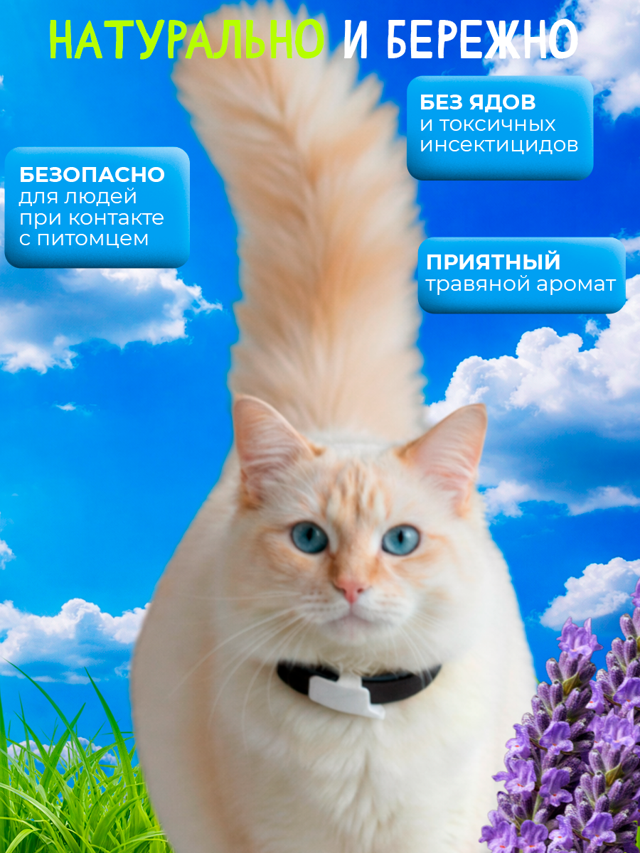 Биоошейник от паразитов "пижон" для кошек от блох и клещей, черный, 35 см — фото 1