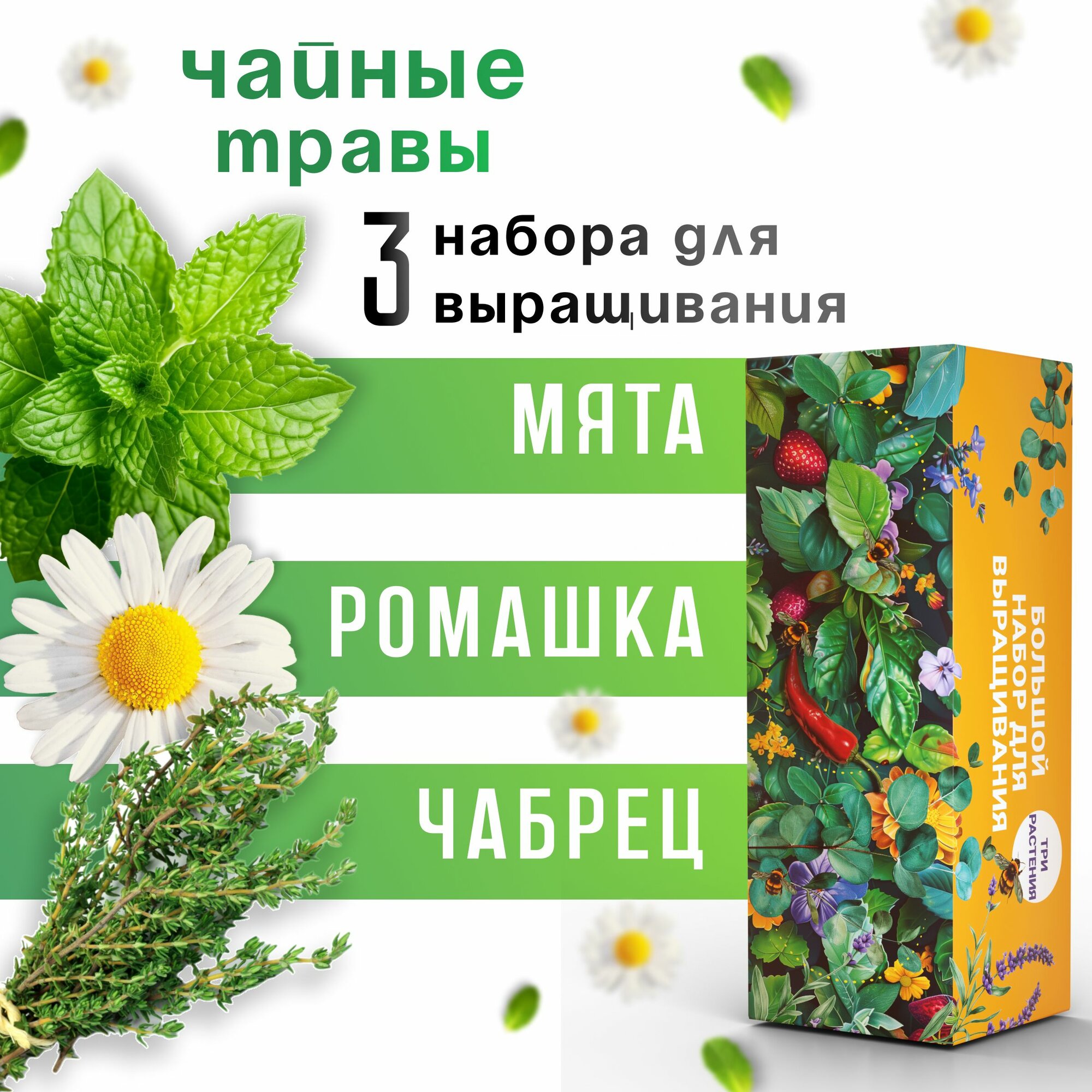 Набор для выращивания растений Чайные травы Мята Ромашка Чабрец Тимьян