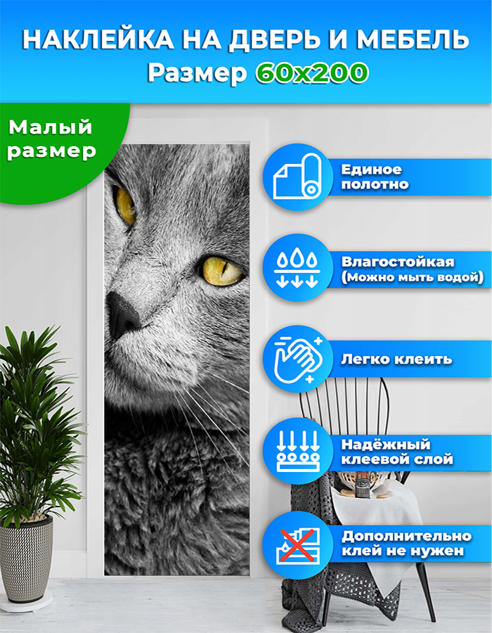 Наклейка интерьерная на дверь "Макро портрет красивого серого кота", самоклеющаяся 60х200 см.