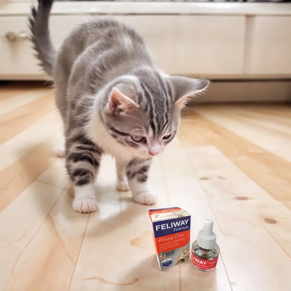 Friends для коррекции поведения кошек 48 мл