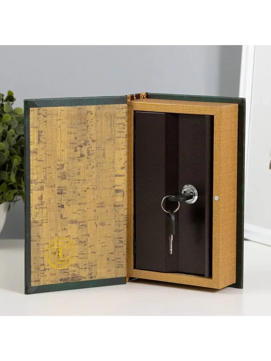 Стильная сейф-шкатулка-книга для хранения денег
