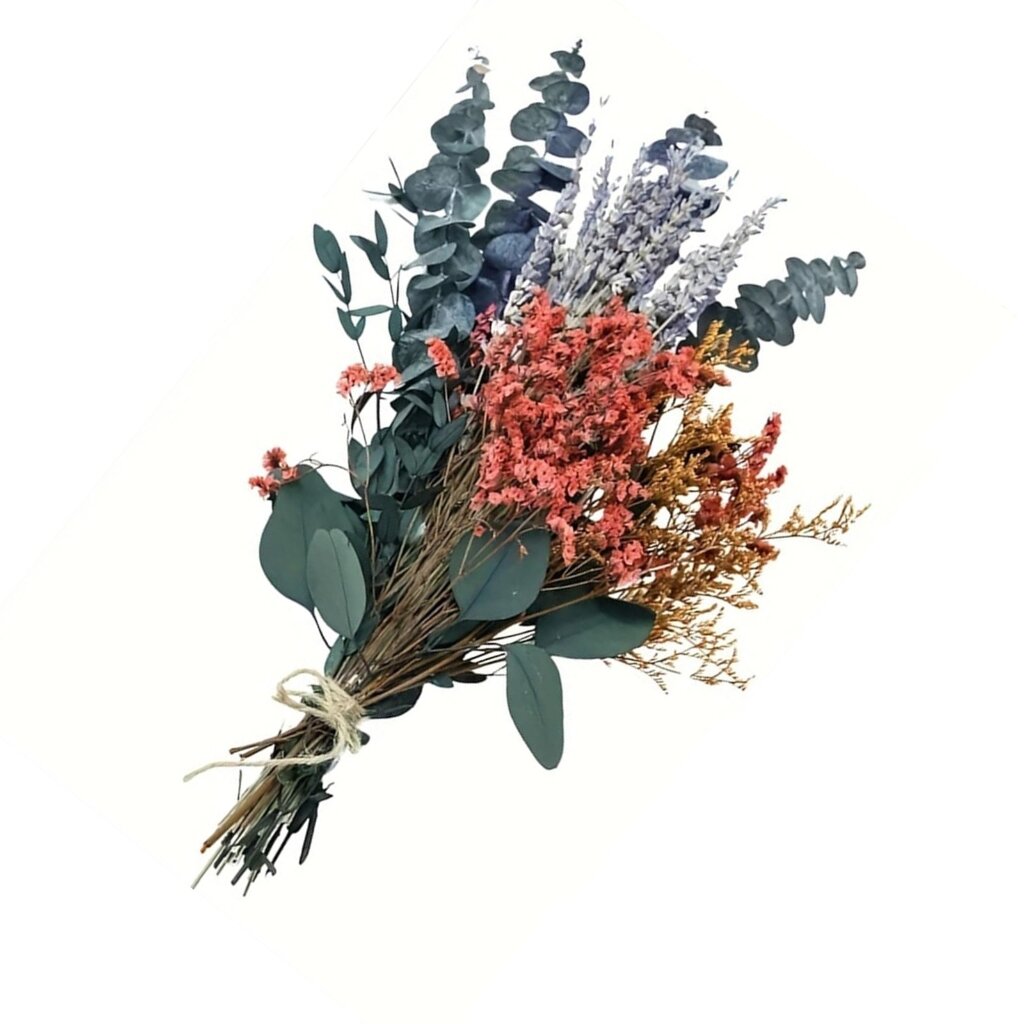 40ШТ, сухие консервированные стебли эвкалипта и букет лаванды, подвесные листья серебряного доллара для душа, украшение дома