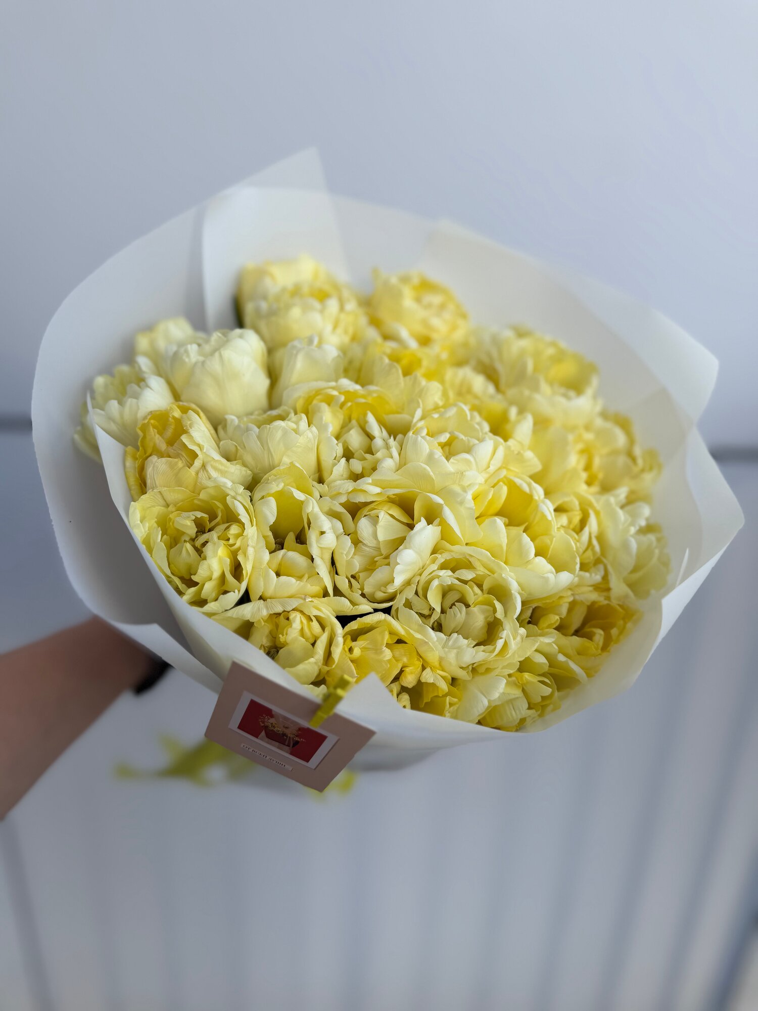 Пионовидный тюльпан «ШУМ цветов» композиция из жёлтых тюльпанов 31шт