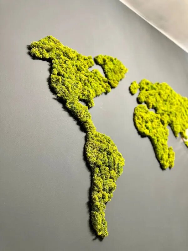 "Карта мира" 150*92 см. из стабилизированного мха. Цвет: Лайм. Дом Мха-MossArt
