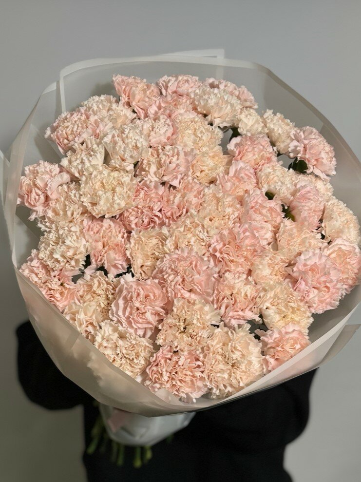 Букет из 51 Диантуса "Creamy" с экспресс доставкой по Москве