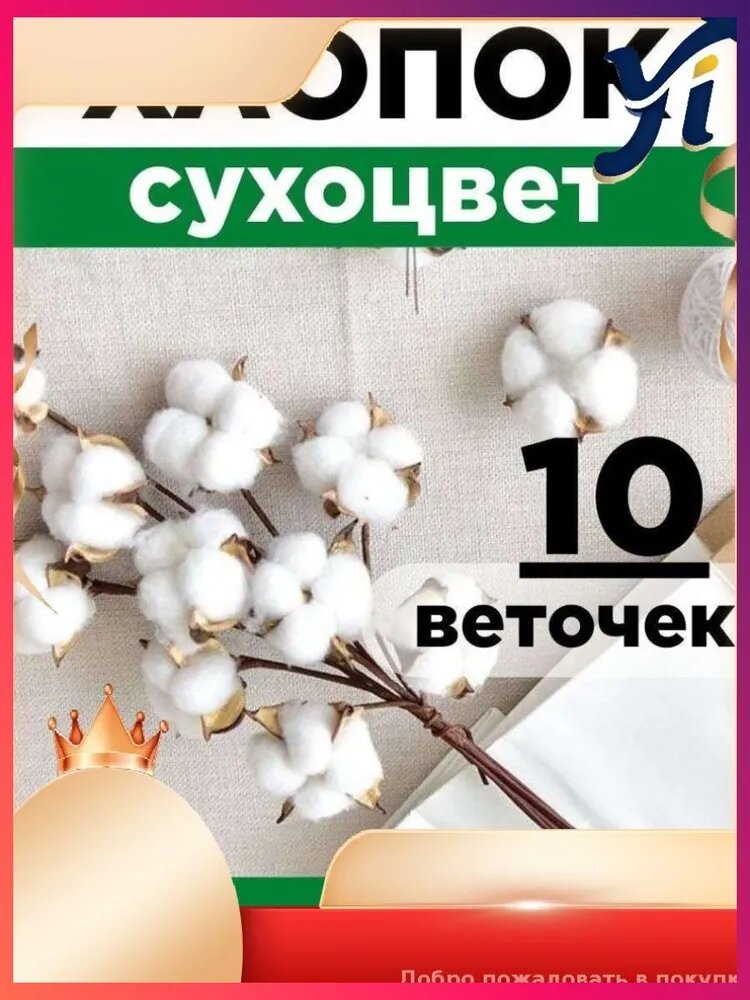 Сухоцветы Хлопок, 40 см, 20 гр, 10 шт