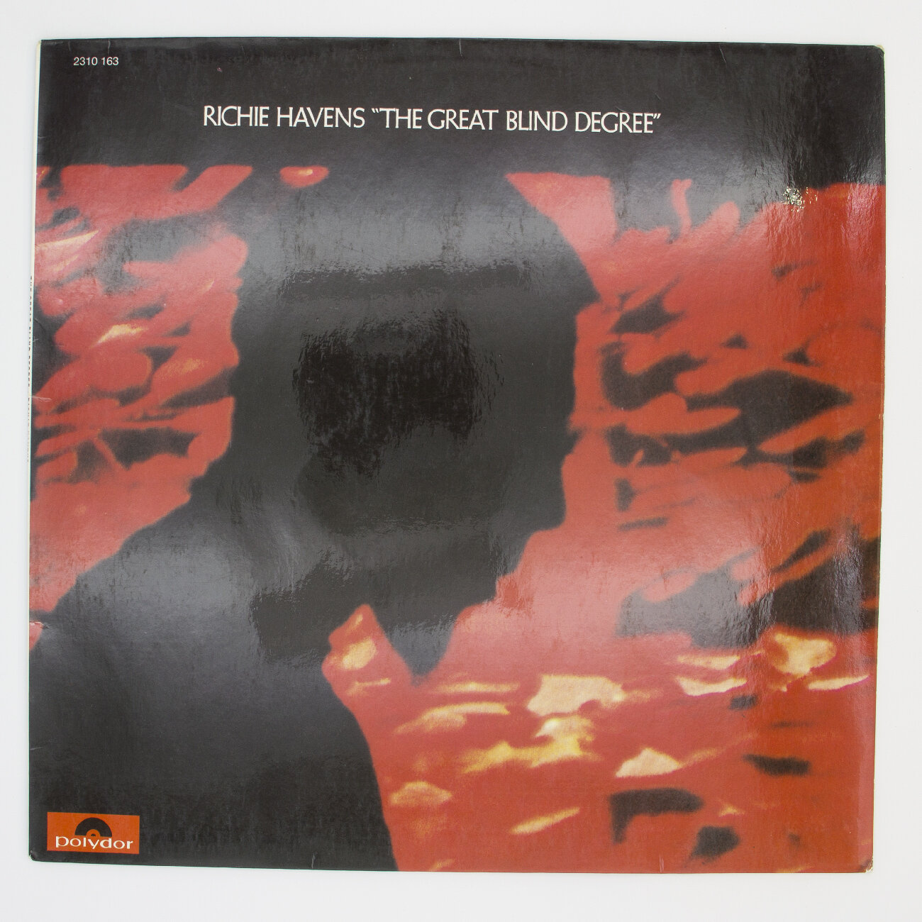 Виниловая пластинка Richie Havens - The Great Blind Degree, 1xLP, EX