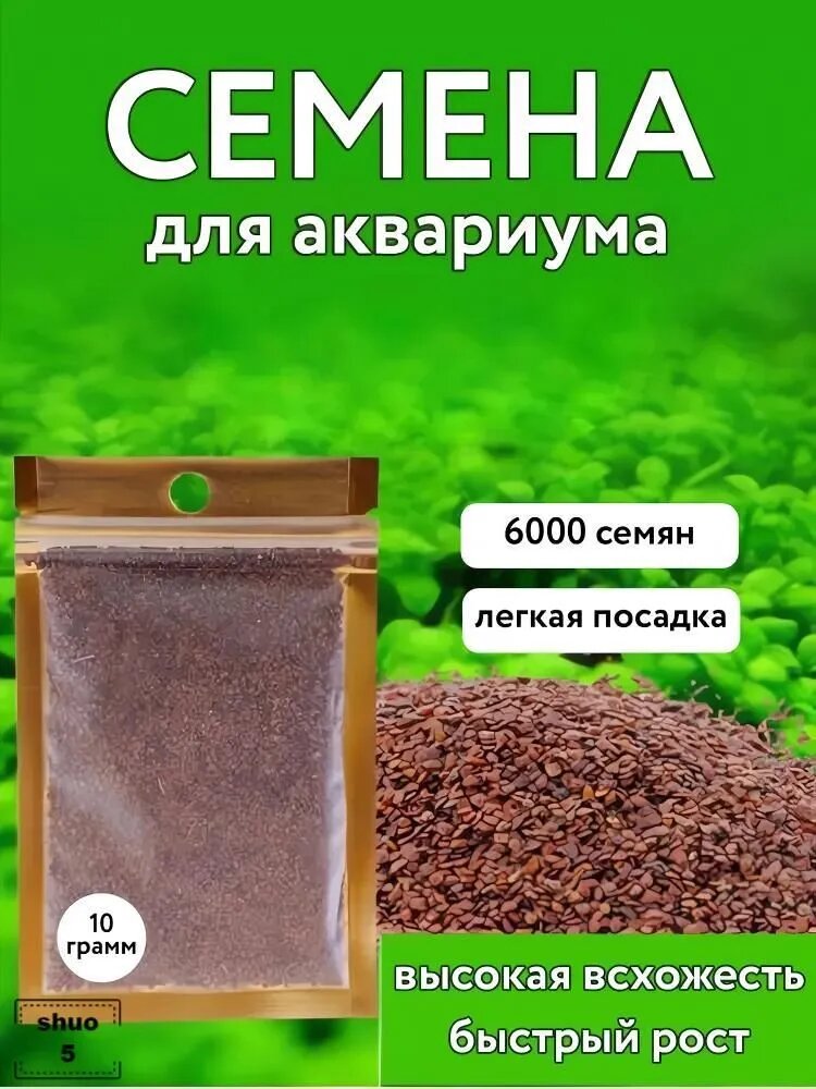 Семена растений для аквариума / живые растения для аквариума