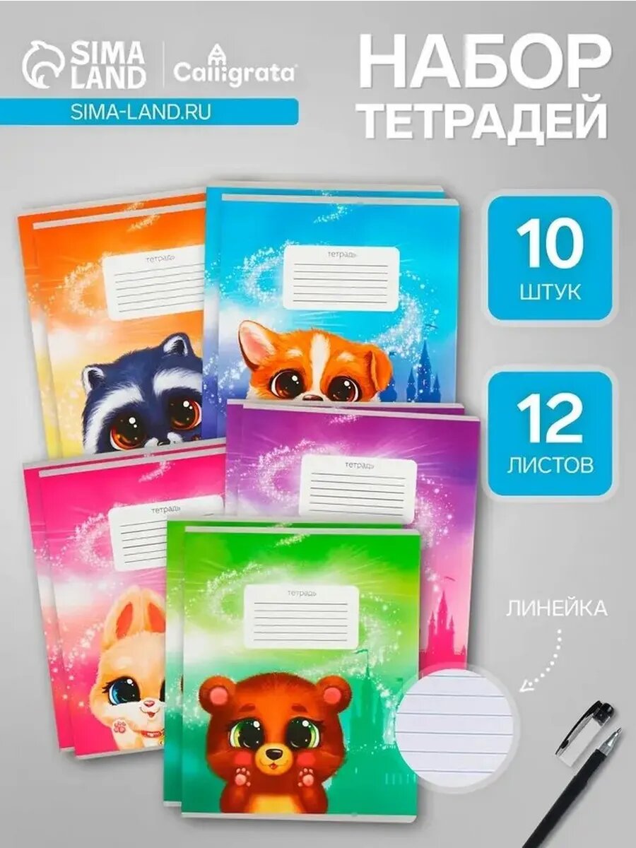 Набор из 10 ярких тетрадей для школы