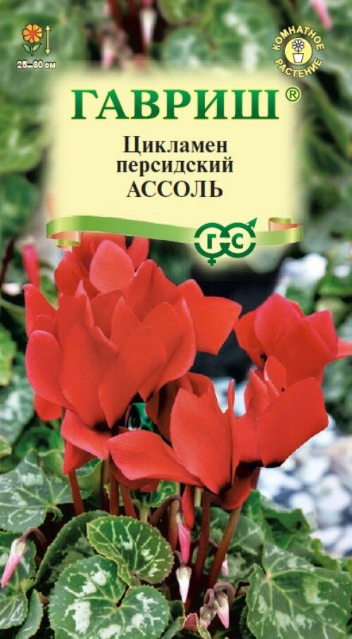 Семена цикламена Гавриш Ассоль, многолетний клубневый, 3 шт 002489