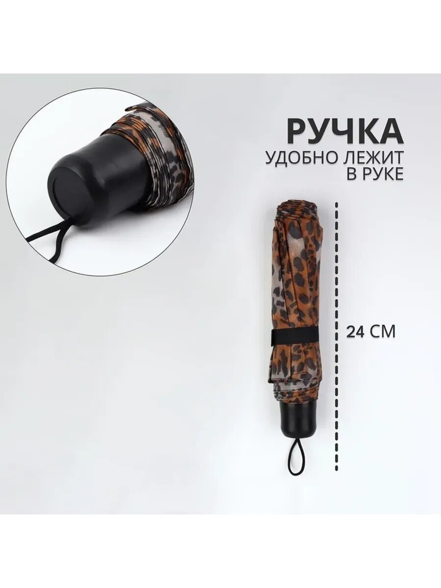 Зонт
