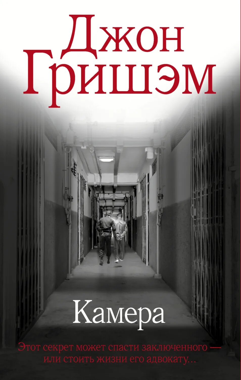 Камера [Цифровая книга]