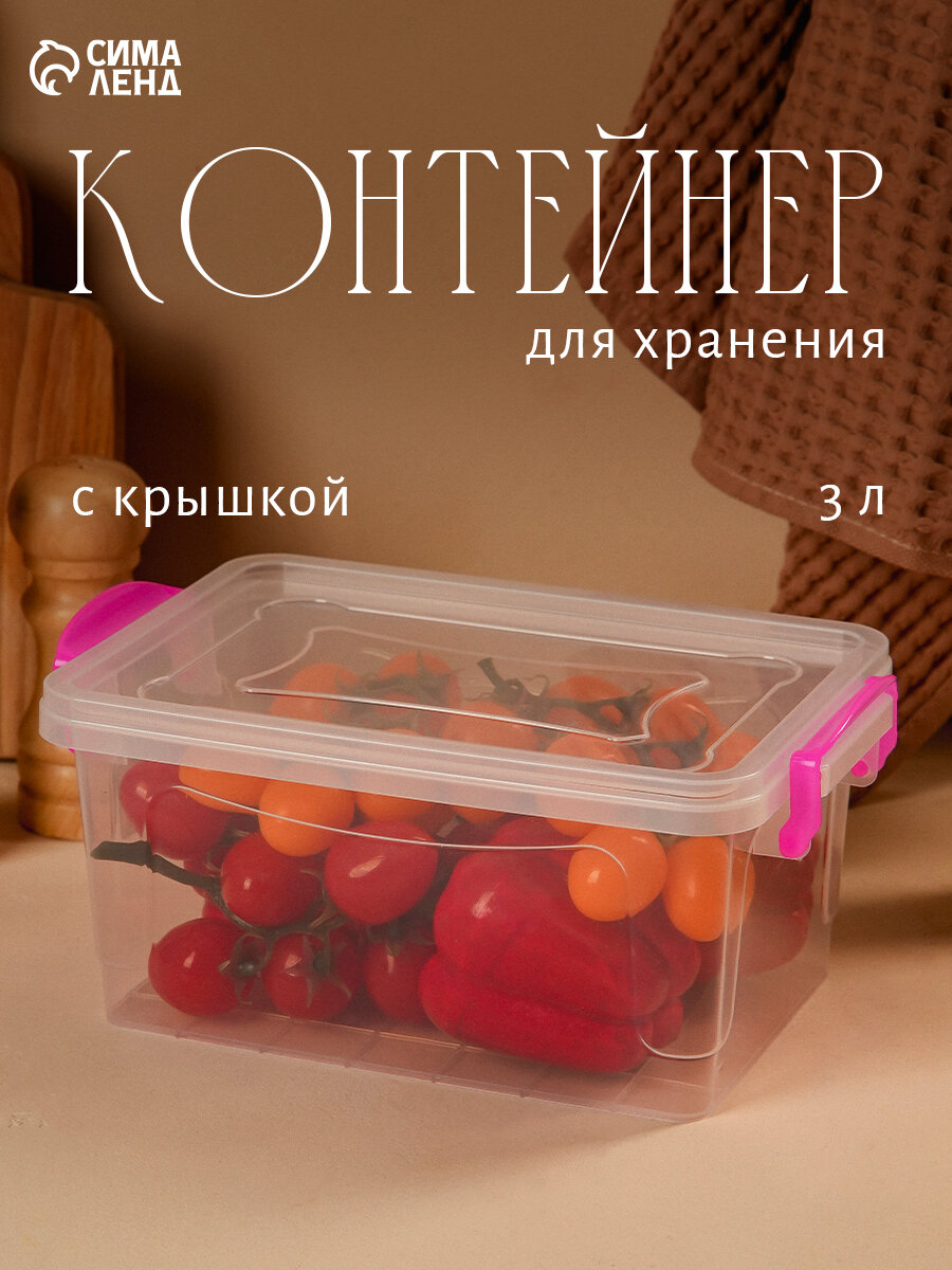 Контейнер пищевой с ручками RICCO, 3 л, пластик, цвет ручек микс