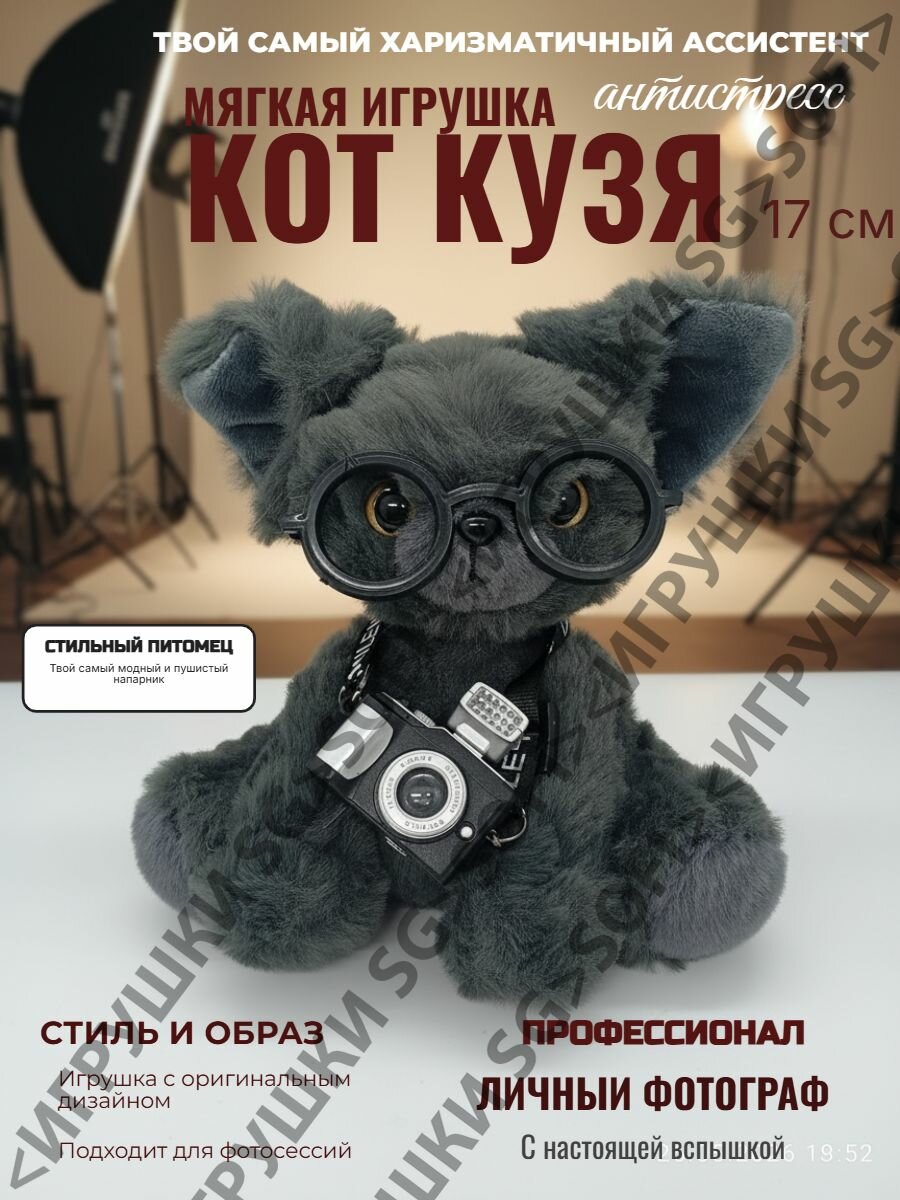Мягкая игрушка антистресс- Кот Кузя в очках и с фотоаппаратом. размером 17 см.