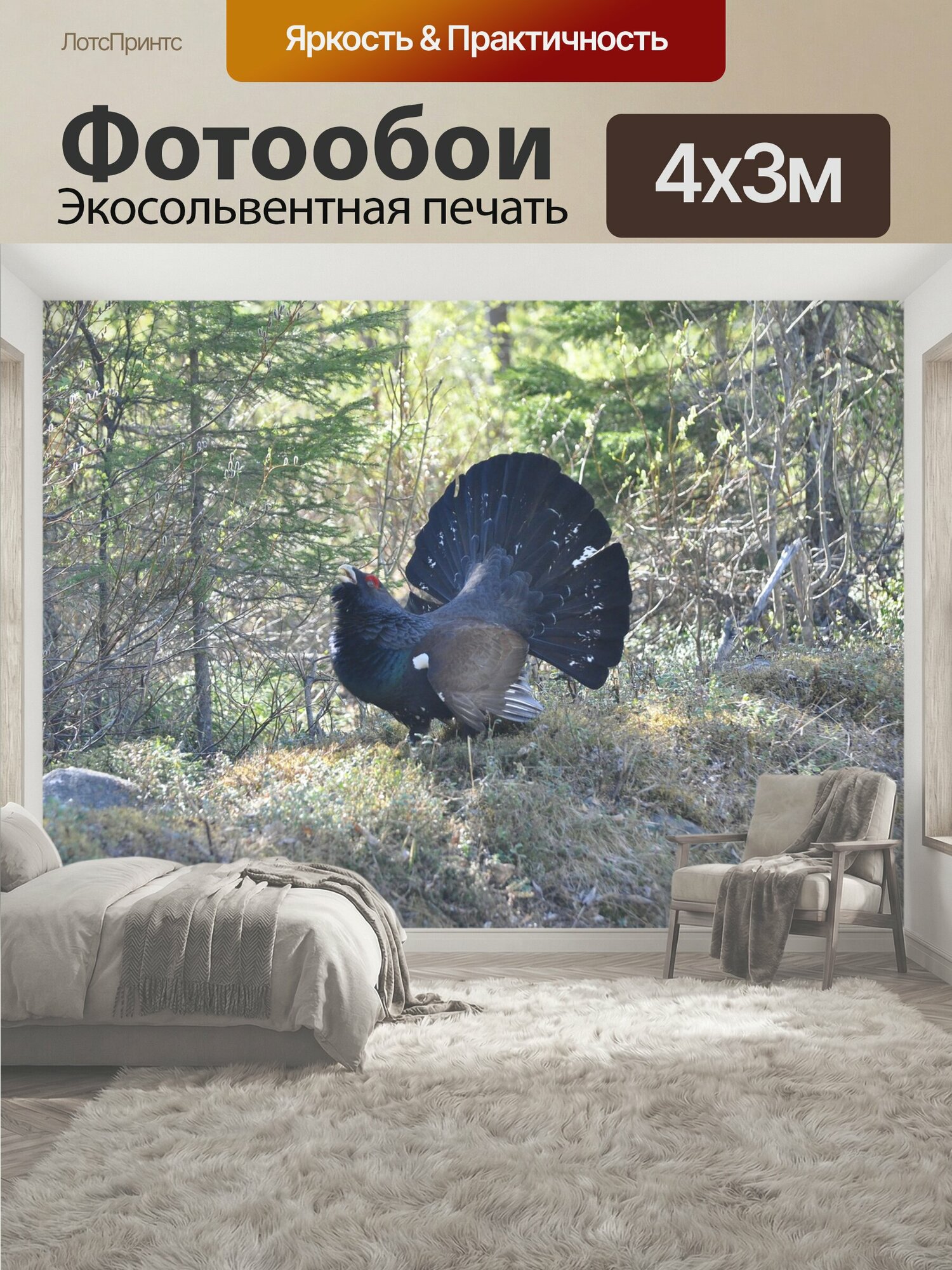 Фотообои "Финляндия, глухарь, тетерев" 400x300 см. экосольвентная печать