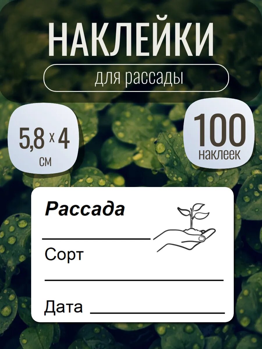 Наклейки для рассады