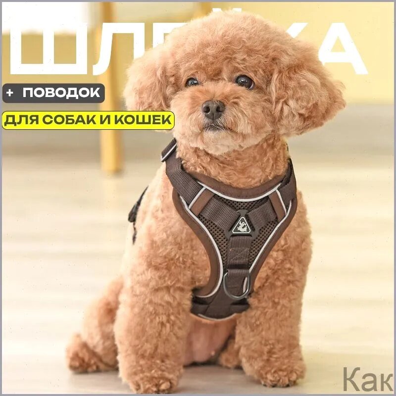 Шлейка M